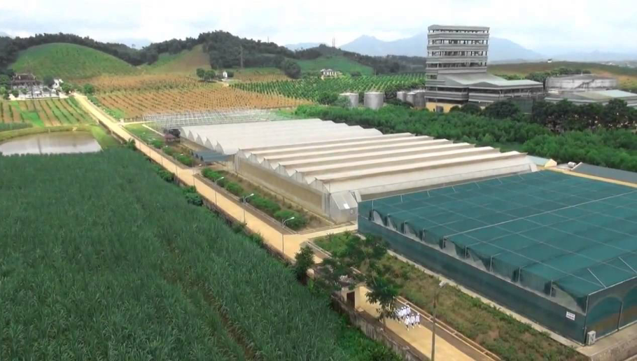 Vietnam and FAO Join forces to promote tripartite cooperation for ...