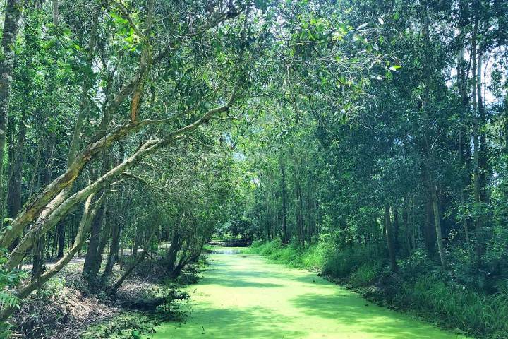 Government Implements Strict Regulations for Nature Conservation